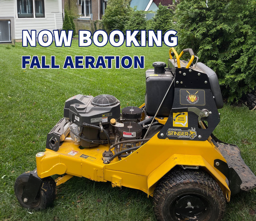 The Magic of Fall Lawn Aeration and Overseeding in Westfield